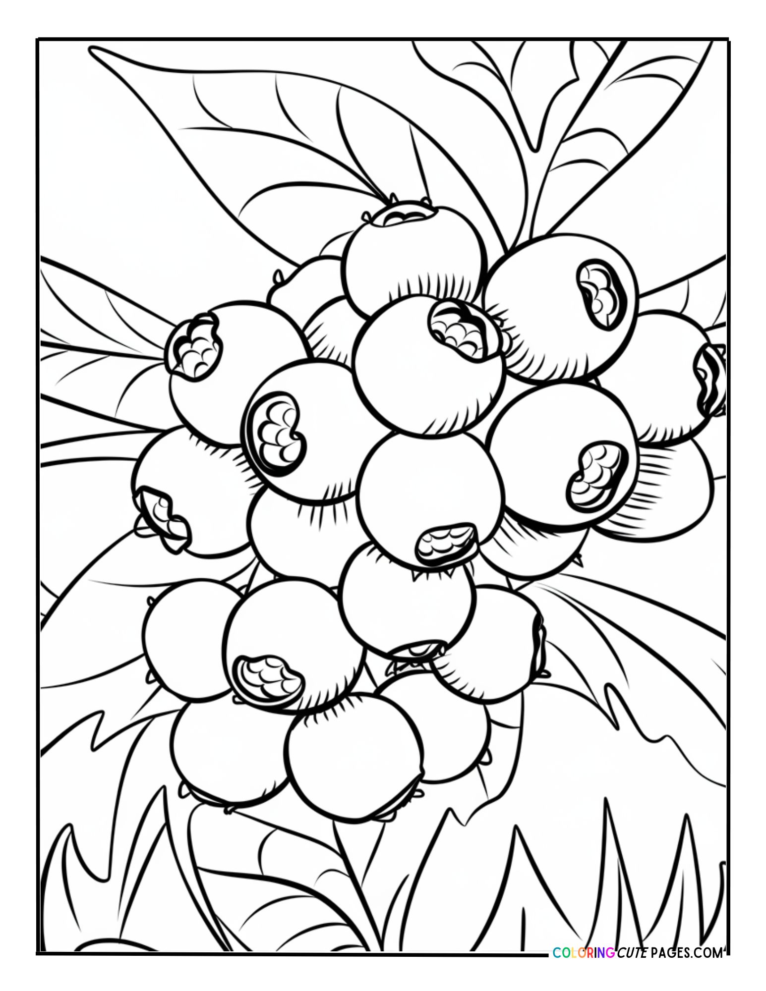 Blueberries Coloring Pages (Free PDF Printables) - coloringcutepages.com