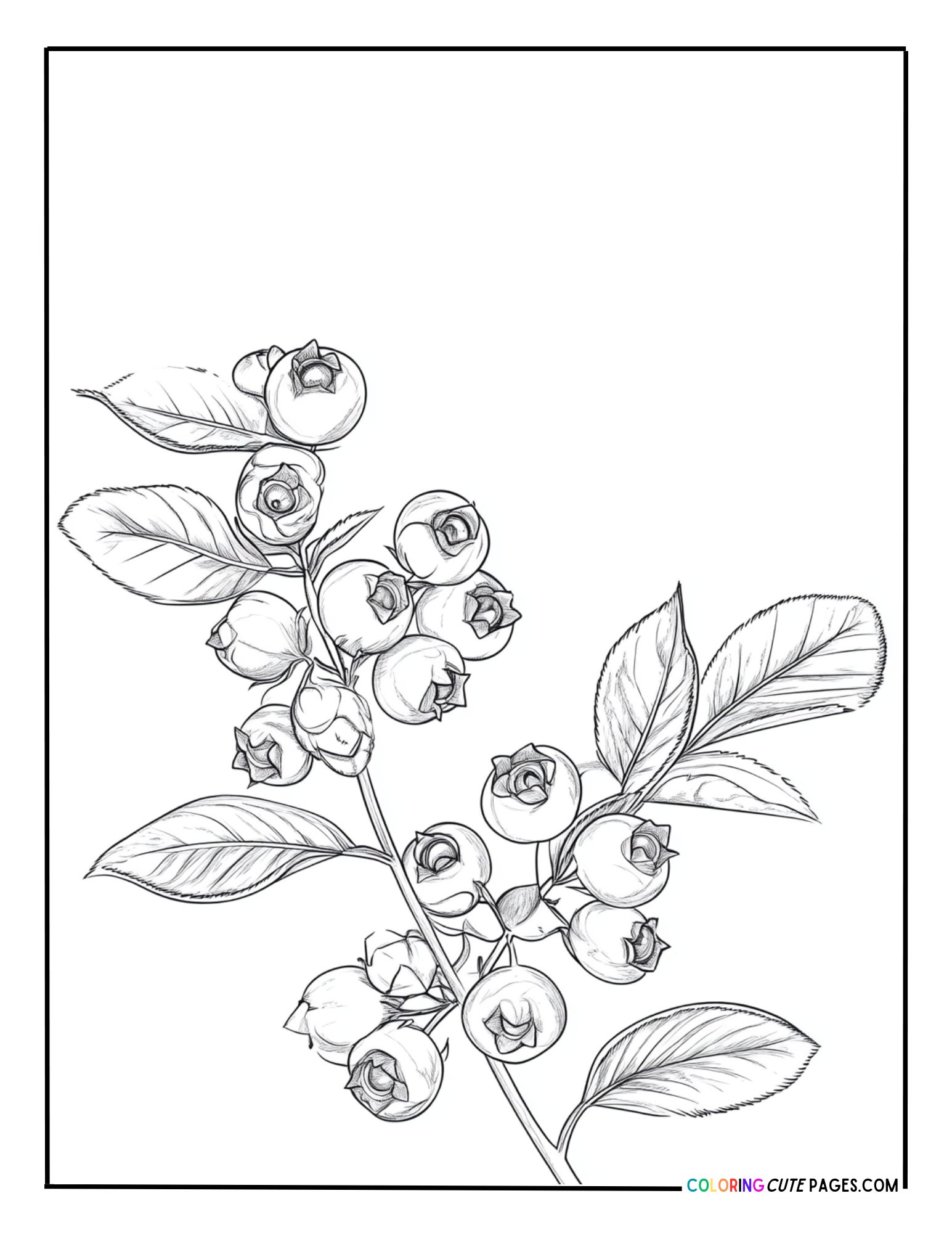 Blueberries Coloring Pages (Free PDF Printables) - coloringcutepages.com