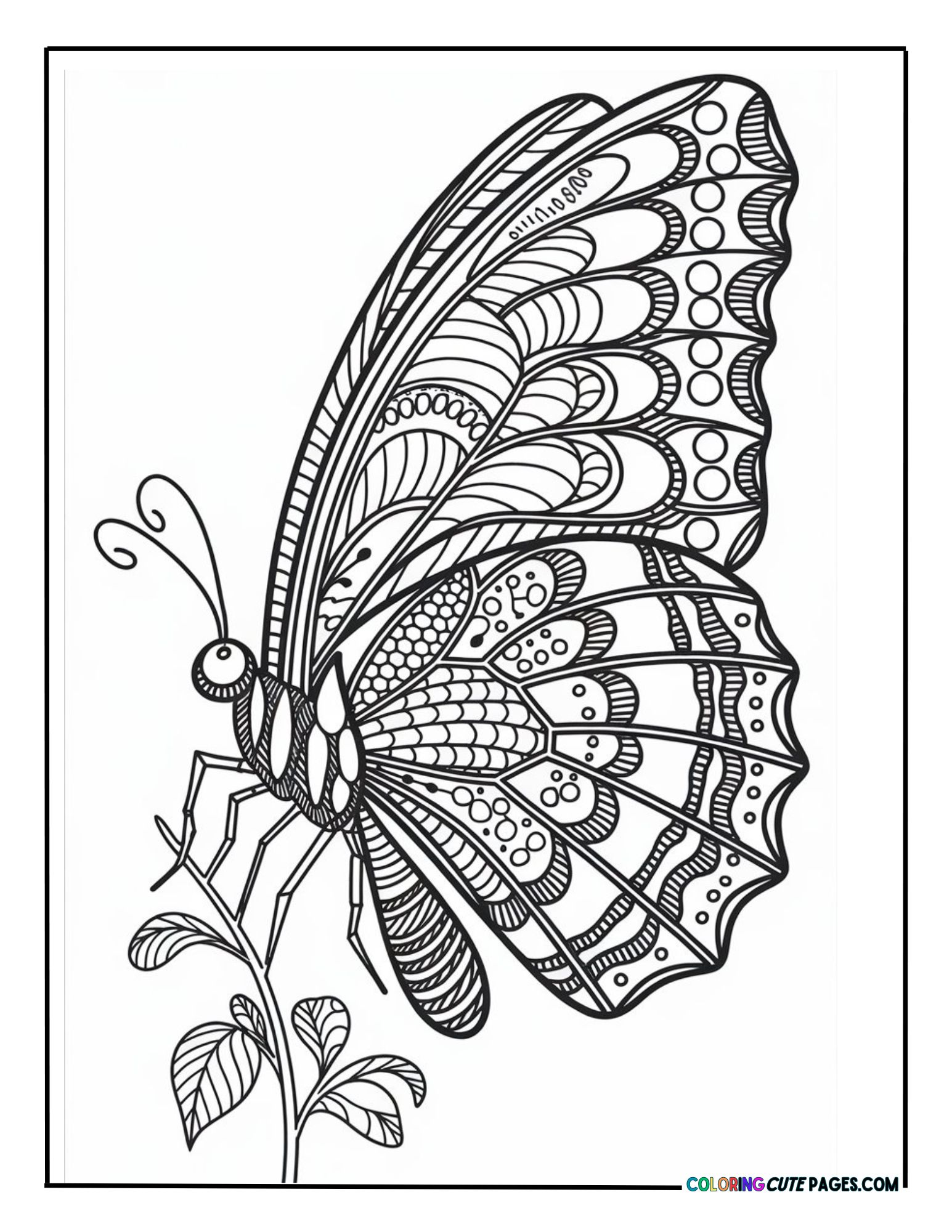 Adult Butterfly Coloring Pages