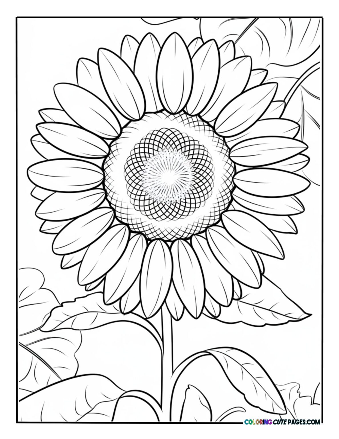 Sunflower Coloring Pages